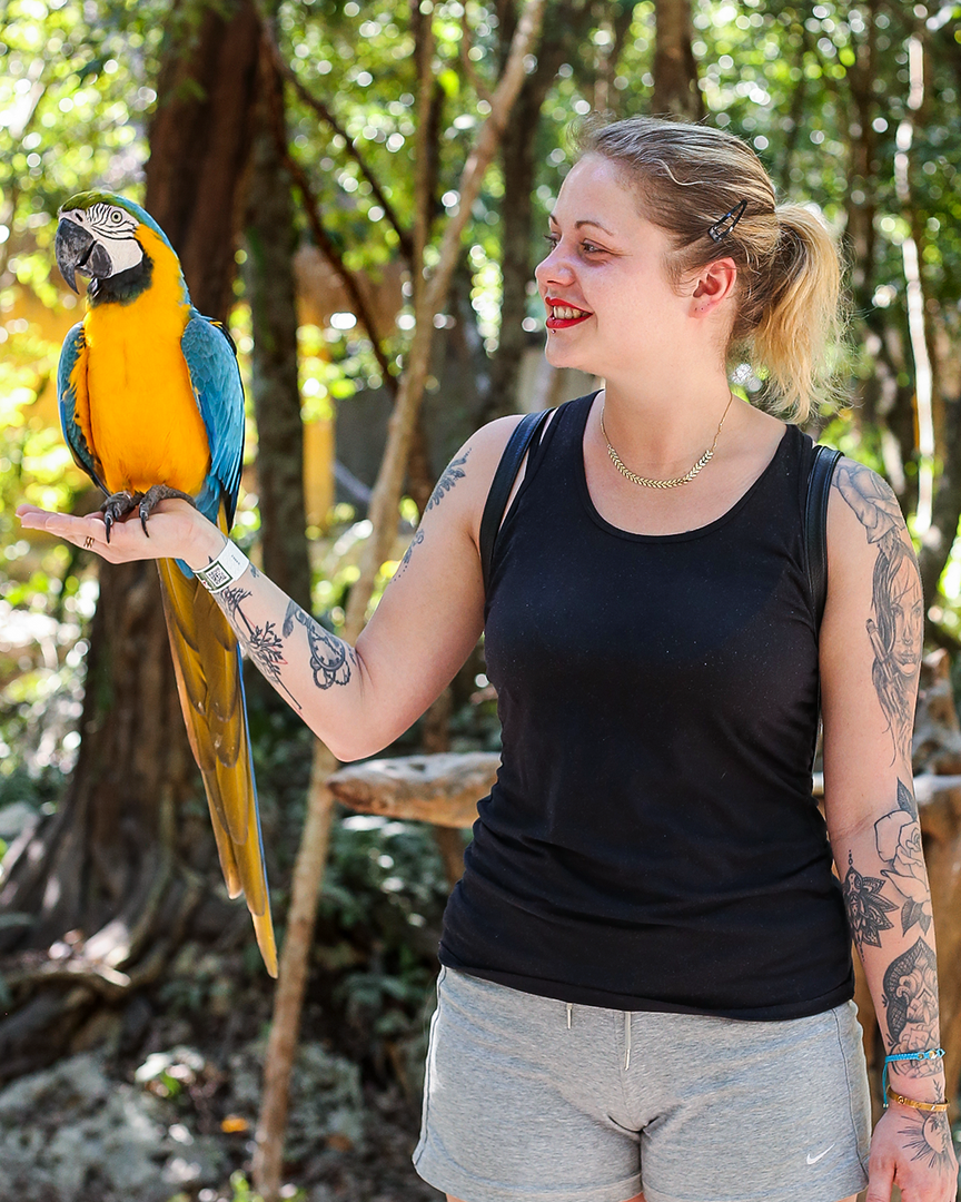 ATV Monkey Jungle Tour - Bookolis